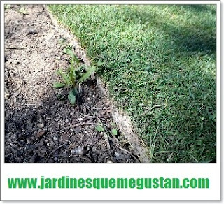 COMO COLOCAR CÉSPED EN TEPE – Jardines Que Me Gustan